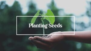 Planting Seeds - Church of the Apostles United Church of Christ
